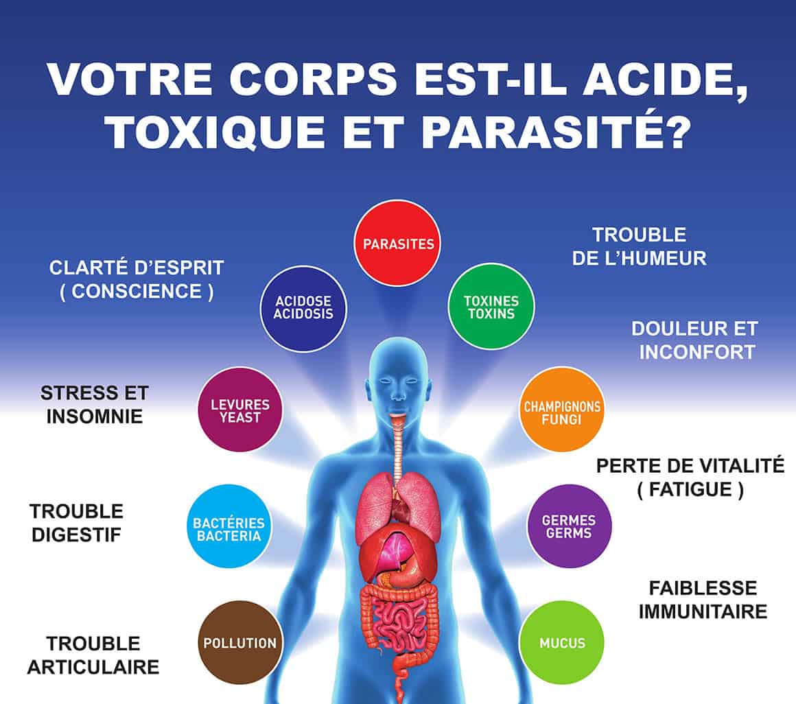 Comment se préserver contre l’accumulation de toxines dans notre corps ...